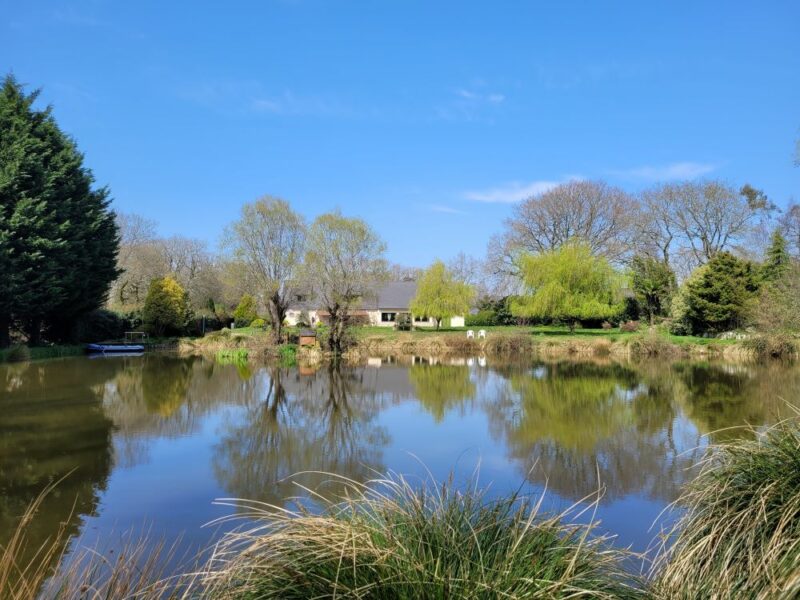 Lipogramme : explication, histoire et mise en pratique