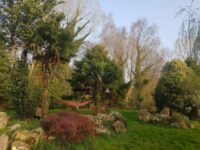 Lipogramme : explication, histoire et mise en pratique